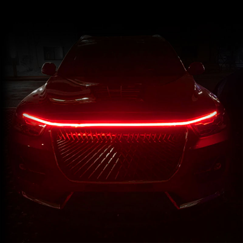 1667888339-redgymenic – SilverHolder